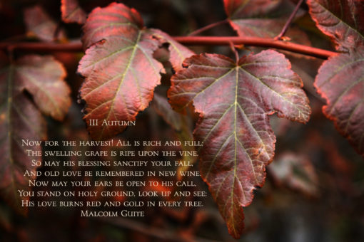 Autumn Benediction | Cultivating Oaks Press
