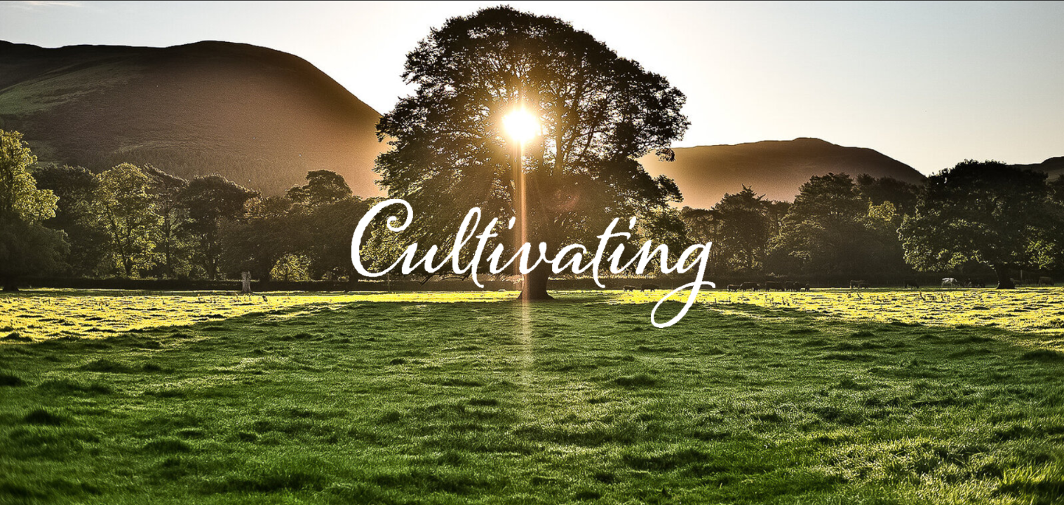 Downloadables | The Cultivating Project