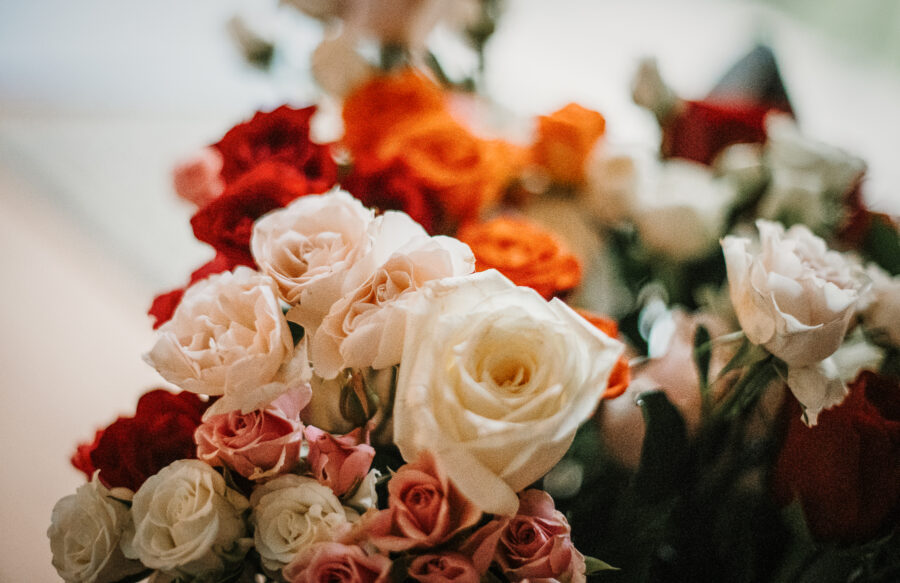 Timely Provisions | Cultivating Oaks Press