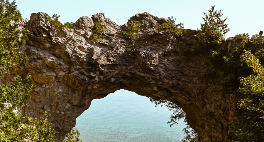 A Spirit Fierce and Free | Cultivating Oaks Press