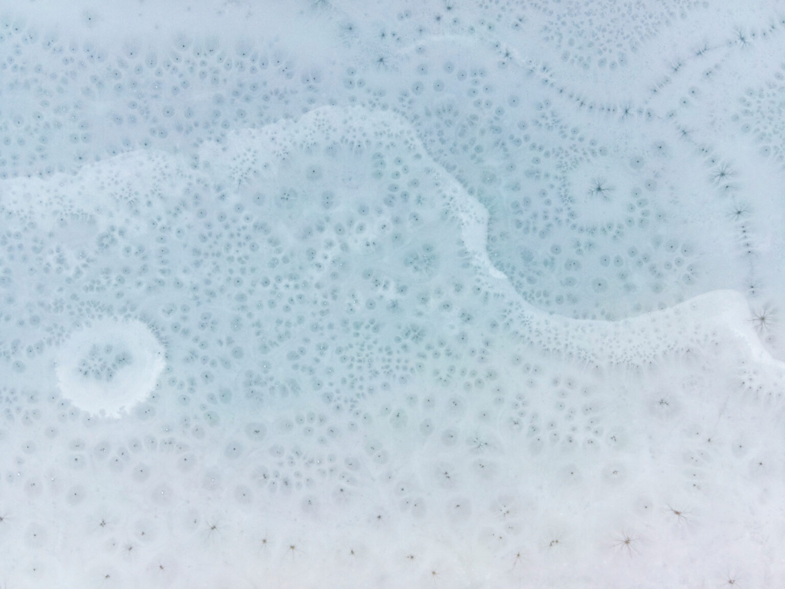 FALLING WATER ROARS | Cultivating Oaks Press